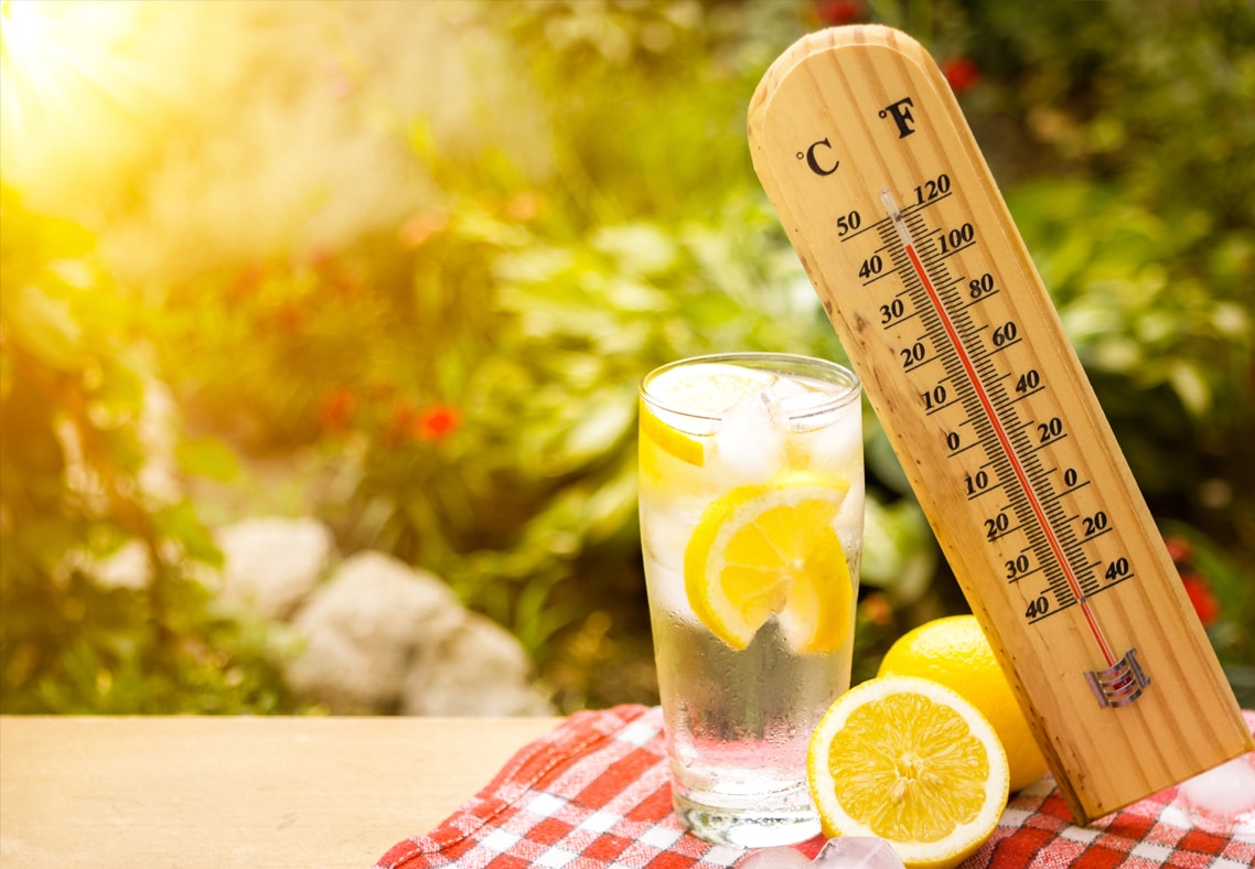 Acacia Announces 3 New Energy Plans for Consumers | Acacia Energy